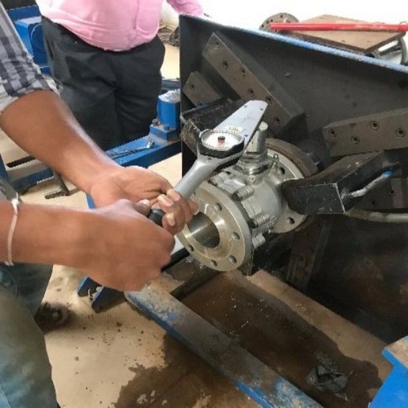 Photo Album | Regent Flowchem Equipments Pvt. Ltd.